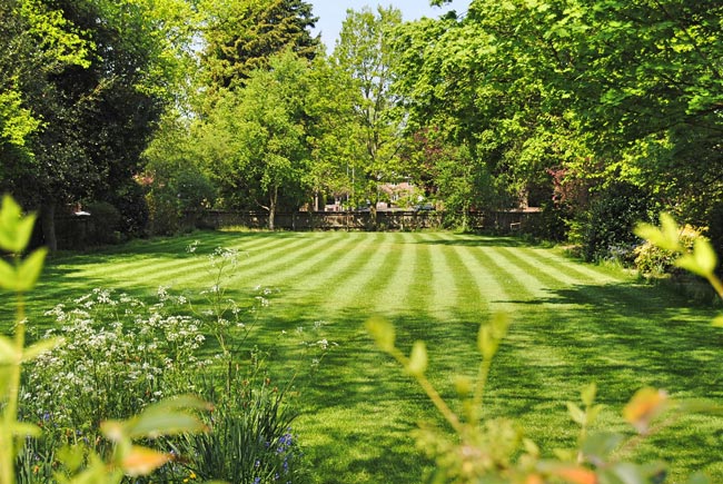 What Is The Best Lawn Care Schedule For Ontario 