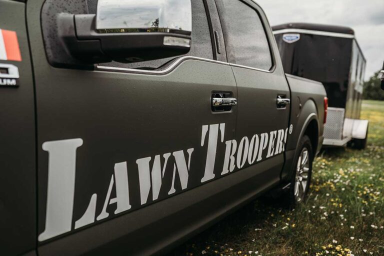 How to Solve Common Drainage Problems in Your Yard and Garden - Lawn ...