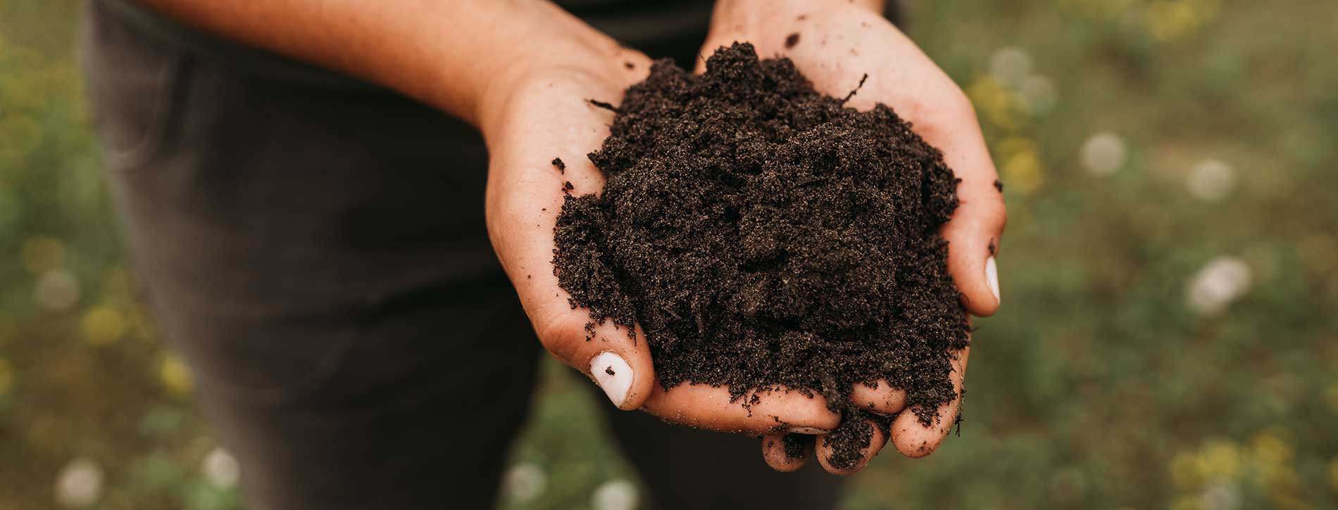 Sustainability - Agriculture Initiatives by Lawn Troopers