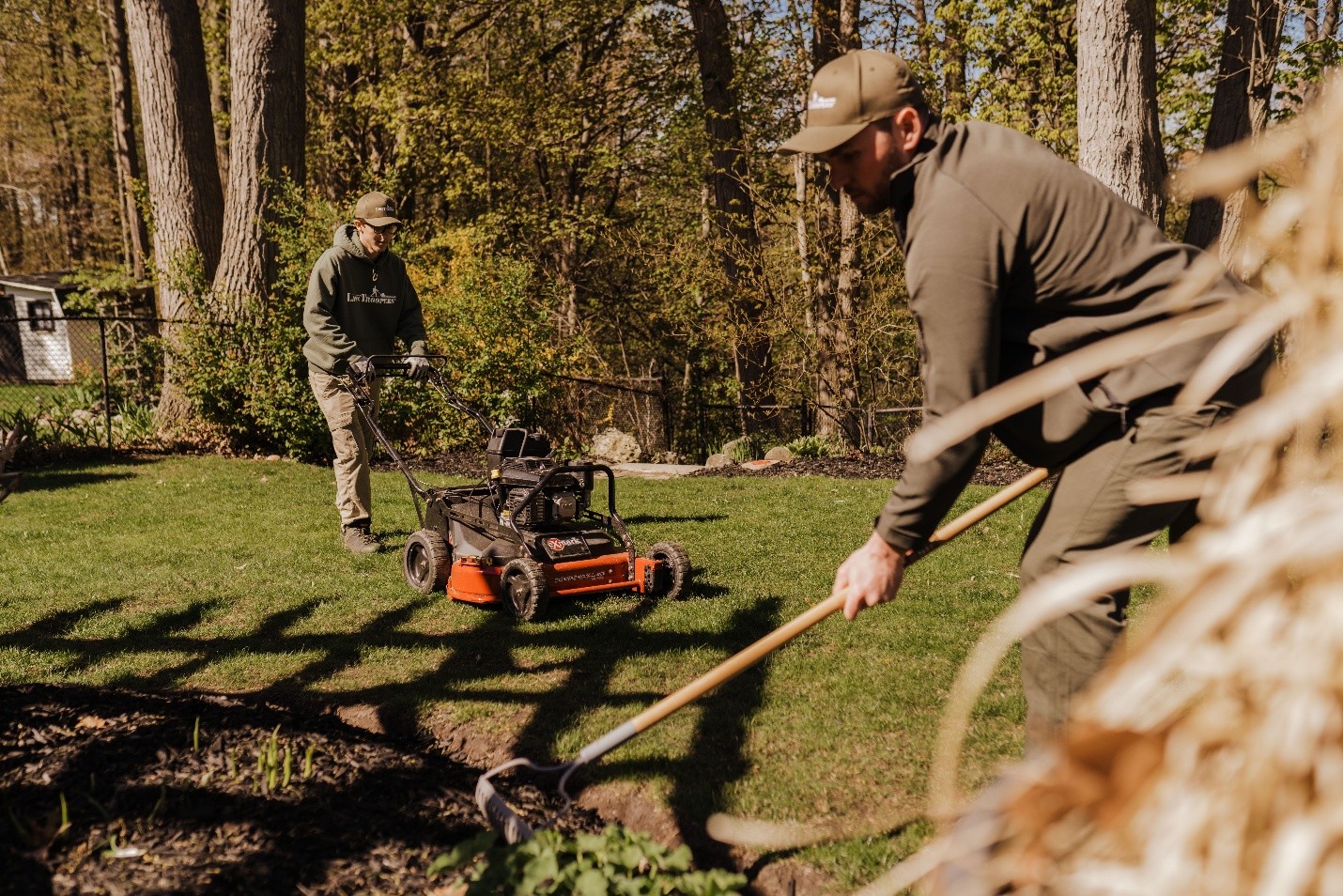 Snow Mould on Lawns: What It Is + How to Fix It