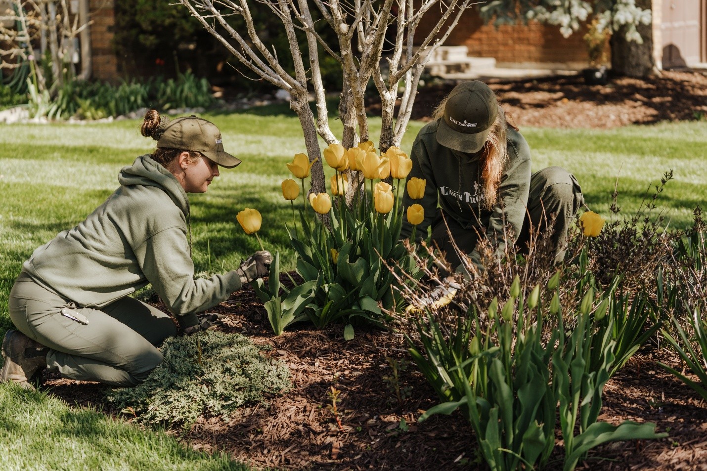 Garden Bed Planting: When Soil Is Workable in Spring