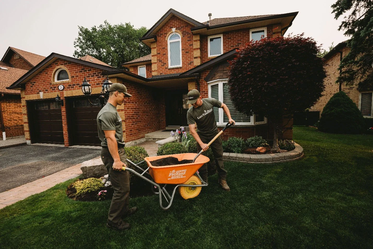 Lawn Care and Lawn Maintenance Specialists - Lawn Troopers Inc